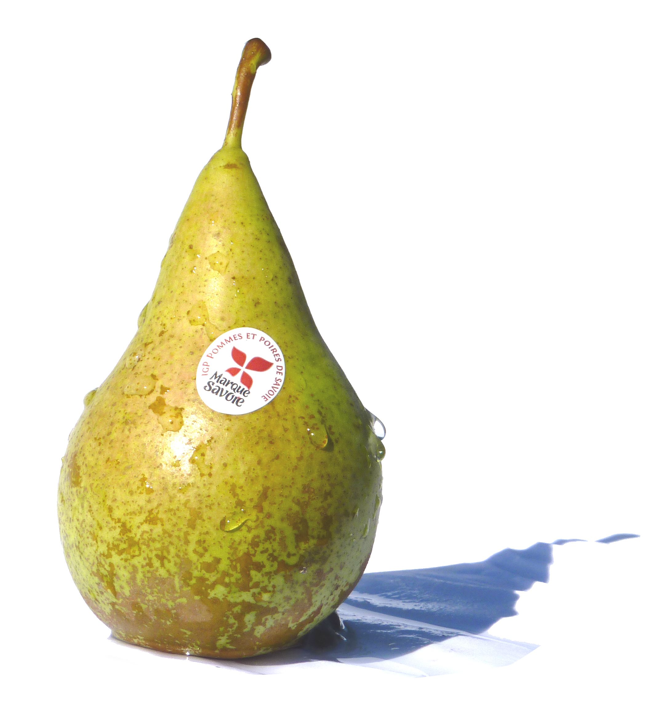 Bestel Pyrus communis 'Conference' - Peer voordelig bij Plantenweelde