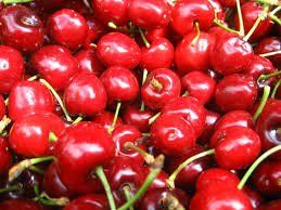 Bestel Prunus cerasus ‘Morel’ (zure morel) voordelig bij Plantenweelde